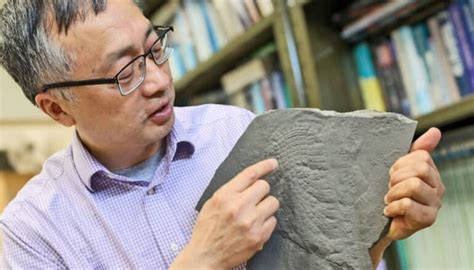 Sea Sponge Fossil 1600 Futurity