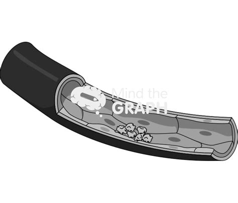 Platelet Aggregation