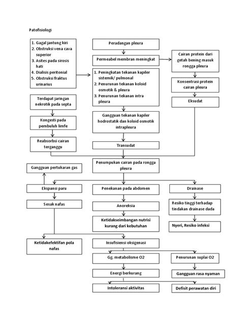 Patofisiologi Efusi Pleura Pdf