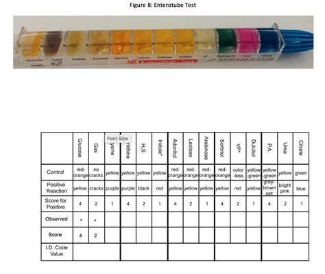 Navegador Robo Reactor Enterotube Ii Identification Codes Salvar Final