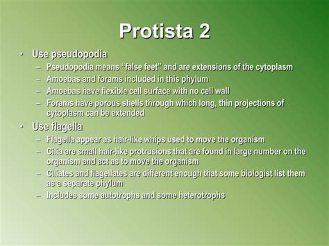 Levels Of Classification Pptx Biological Sciences Science Levels Of Classification Pptx Biological Sciences Science