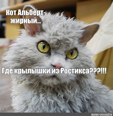 Создать мем на зло когда легла спать с мокрой головой фото