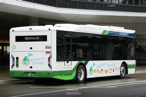City Bus Lovers