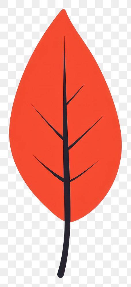 Png Red Reniform Leaf Illustration Free Png Rawpixel