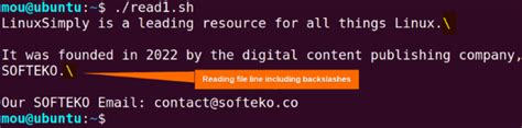 How To Read File Line Using Bash While Loop Cases LinuxSimply