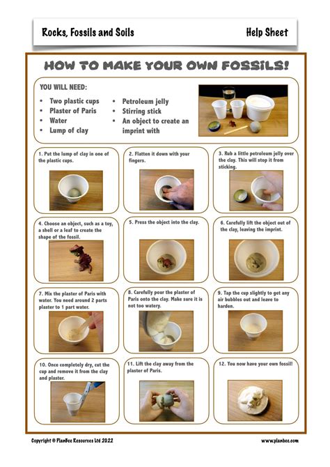 Fossils Ks2 Lesson Packs And Information Planbee