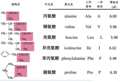 基于结构的药物设计 Structure‐based Drug Design Sbdd 计算机辅助药物设计教程 文档
