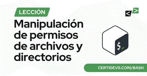 Bash Shell Manipulaci N De Permisos Con Chmod Chown Y Chgrp
