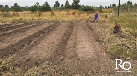 Starting An Organic Farm Business Regenerative Farming In Africa