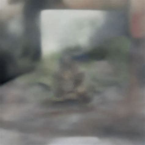 Determining Rent A Comprehensive Pricing Guide