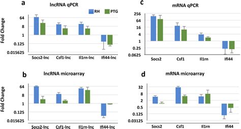 validation of lncrna and mrna microarray data by qrt pcr rna from