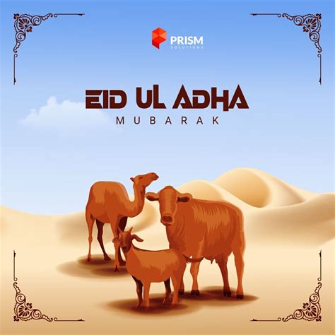 Aasia Naseer Posted On Linkedin