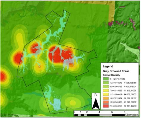 Kernel Density Analyses Showing The Area Most Frequently Used By Grey Download Scientific