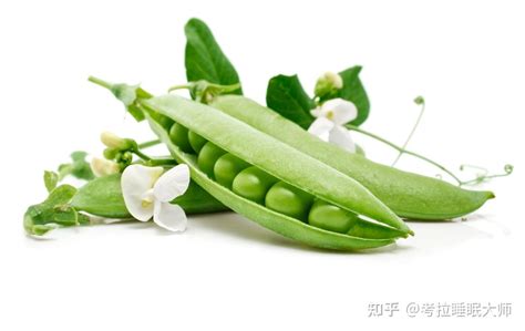 纠结缺钙会失眠原来补钙也会失眠 知乎