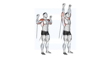 Cable Shoulder Press Guide Benefits And Form