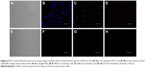 Facile Synthesis Of N Rich Carbon Quantum Dots From Porphyrins As Effi Ijn