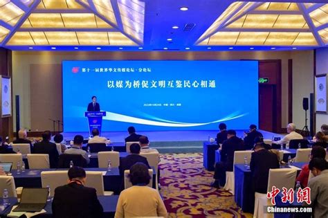 第十一届世界华文传媒论坛：“以媒为桥促文明互鉴民心相通”分论坛举行中新社刘忠俊传播
