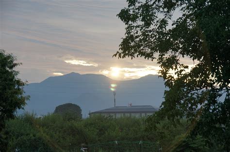 写真 近況。｜いいだ君