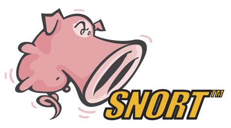 [snort 2 9 5] network intrusion prevention and detection system ids ips ~ bẢo mẬt thÔng tin
