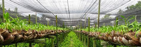 Greenhouse Shade Nets Control Light For Greenhouse Plants Direct