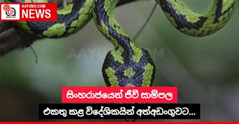 සිංහරාජයෙන් ජීවී සාම්පල එකතු කළ විදේශිකයින් අත්අඩංගුවට