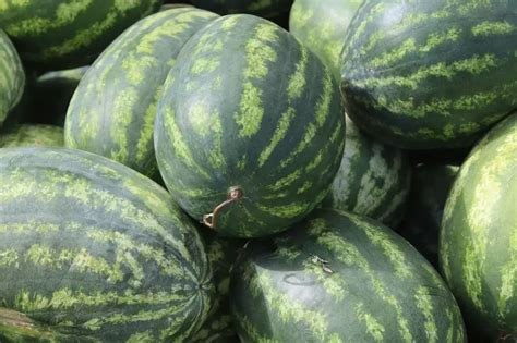 The One Full Proof Way To Tell If A Watermelon Is Truly Ripe