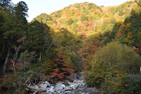 宮田高原黒川渓谷秋の紅葉真っ盛りです 信州みやだ観光ガイド 長野県宮田村木曽駒ヶ岳の観光情報サイト