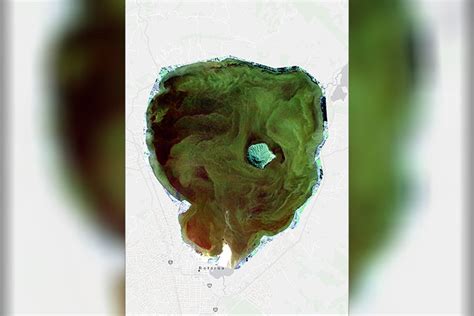 Sunlive Health Warnings For Some Rotorua Waterways Lifted The Bays