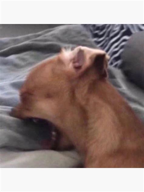 Dog Screaming Crying Meme Sticker For Sale By Georgiavsx Redbubble