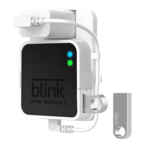 Blink Local Storage With Or Without A Subscription Explained