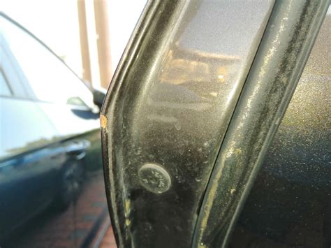 Не подскажете как убить жука? — Volkswagen Passat Variant (B7), 1,4 л ...