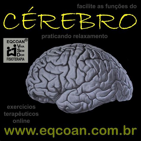 o cérebro funciona melhor quando você pratica relaxamento eqcoan br