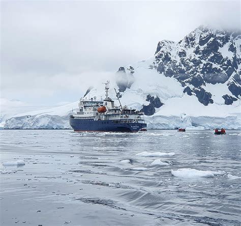 Nos conseils pour bien planifier sa croisière en Antarctique La
