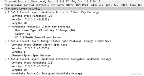 【网络安全技术】传输层安全——ssltlstls Tcp Csdn博客