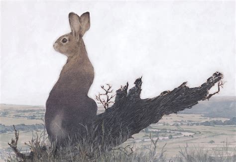 Watership Down