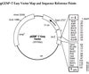 PGEM T Easy Vector Circle Map And Sequence Reference Points