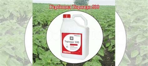Гербицид торнадо 500 купить в Москве | Товары для дома и дачи | Авито