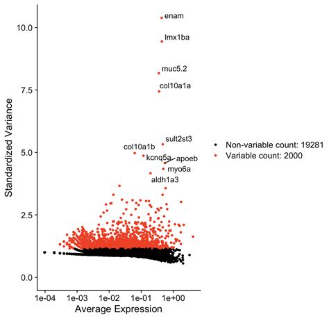 Github Phenotypicrnaseq Analyser Analyse Rna Seq Data Using Seurat