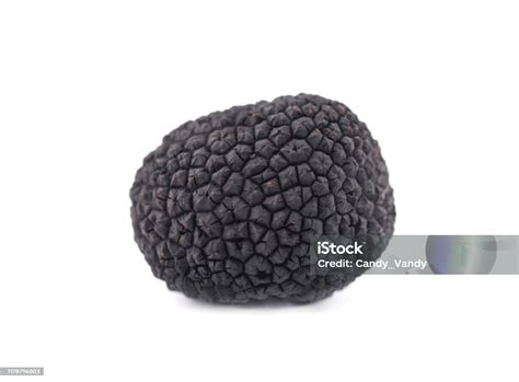 흰색 배경에 고립 된 검은 송로 버섯 진미 전용 트러플 버섯 피칸트와 향기로운 프랑스 요리 클리핑 경로 갈색에 대한 스톡 사진 및 기타 이미지 Istock