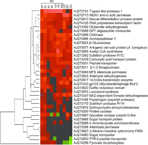 The Cluster Of M Anisopliae Genes Upregulated Within 2 H In Medium