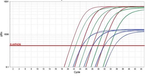 Product Catalogue 2020 Room Temperature Stable Pcr And Qpcr Reagents