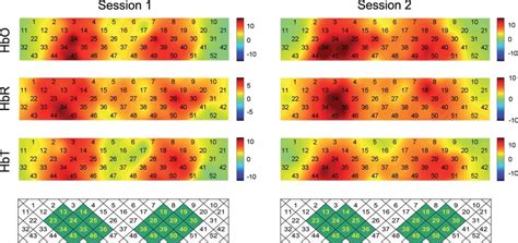 Group Level Rsfc Maps For The Hbo Hbr And Hbt Signals First Three