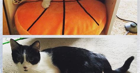 Same Pillow One Year Later Imgur
