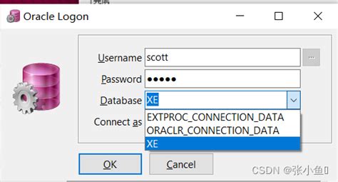 Oracle客户端的安装教程oracle客户端安装 Csdn博客