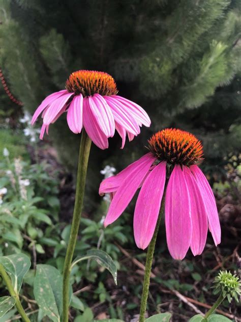 The Sweetgrass The Sweetgrass Added A New Photo