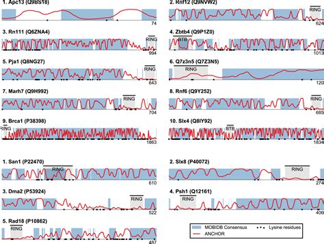 Bioinformatics Analysis Identifies Several Intrinsically Disordered