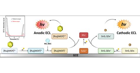 Potential Resolved Electrochemiluminescence Multiplex Immunoassay For