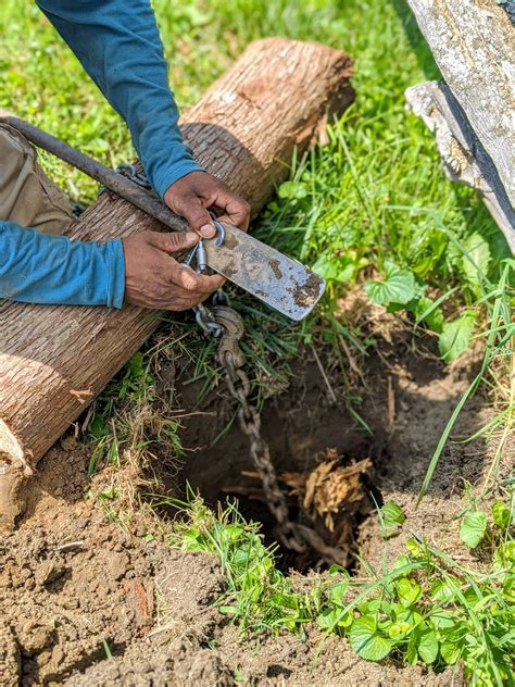 Replacing Fence Posts At The Farm The Martha Stewart Blog
