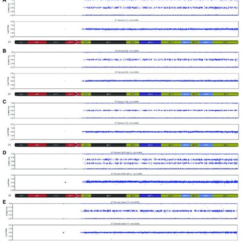 Snp Array Analysis On Placenta And Fetal Tissues Of Case 1 A