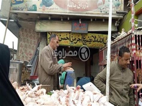 الحكومة تبدأ تفعيل قانون منع بيع الدواجن الحية بتكليفات رئاسية مصراوى